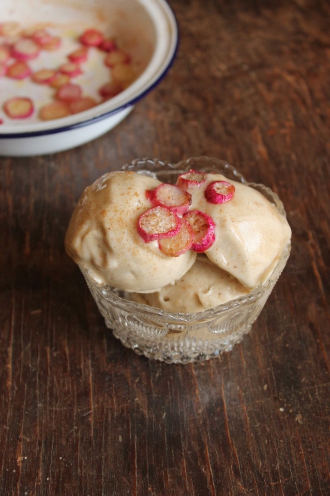 Vegan Cinnamon Ice Cream - Veggie Desserts