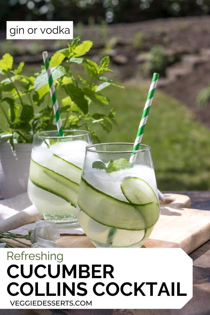 Cucumber Collins Cocktail - Veggie Desserts