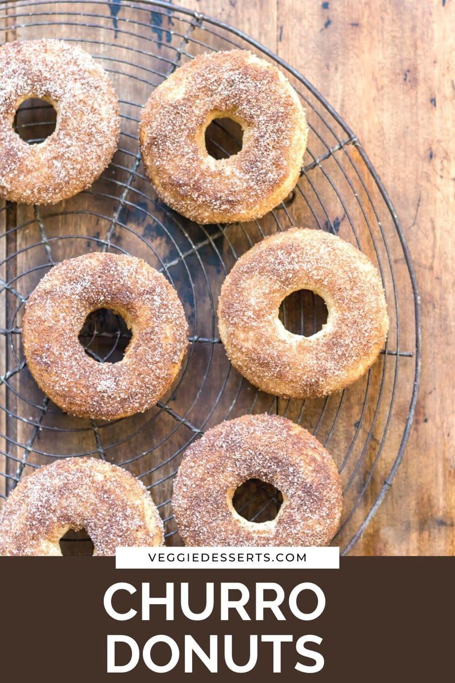 Easy Baked Churro Donuts - Veggie Desserts