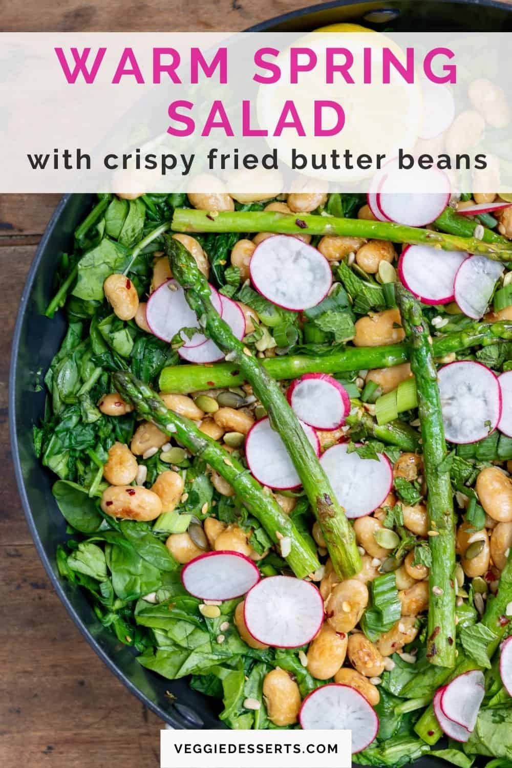 Warm Spring Salad with Crispy Butter Beans - Veggie Desserts