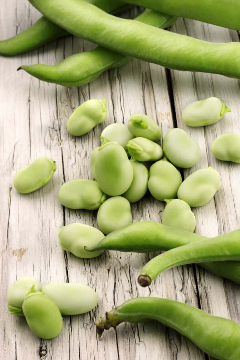 Broad Beans: Prep, Cooking + Recipes - Veggie Desserts