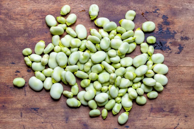 Broad Beans: Prep, Cooking + Recipes - Veggie Desserts