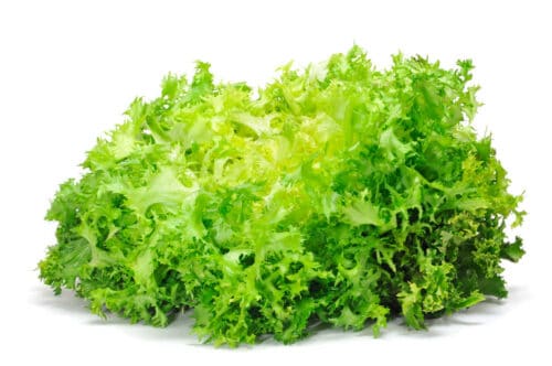 Vegetables That Start With E - Veggie Desserts