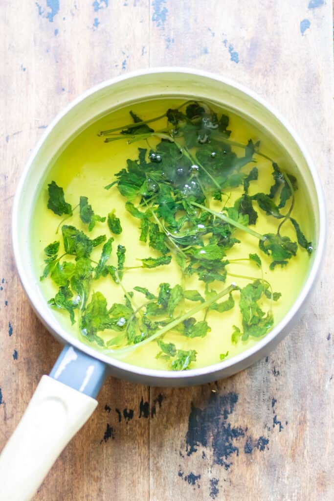 Mint Syrup - Veggie Desserts