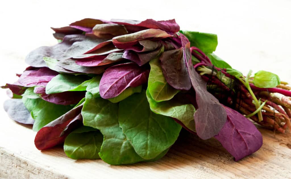 Vegetables That Start With O - Veggie Desserts