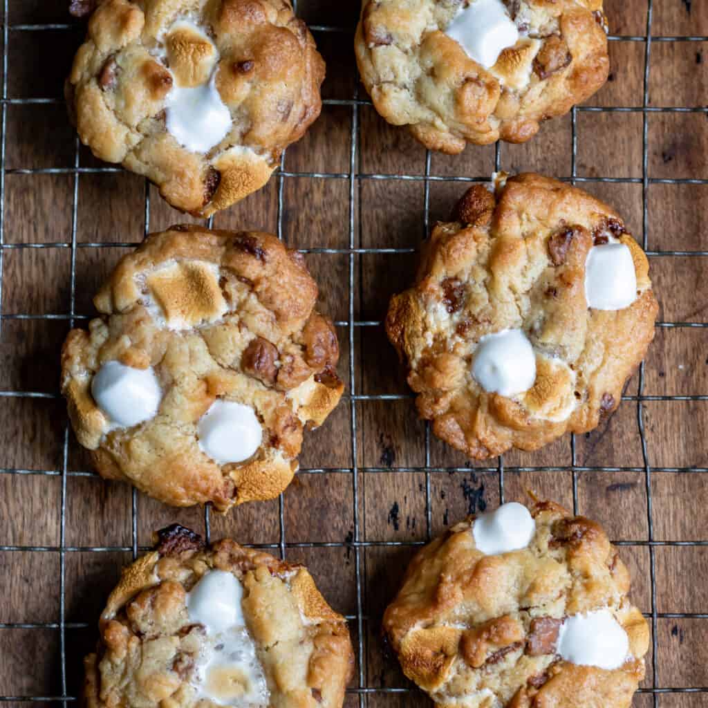 Marshmallow Chocolate Chip Cookies - Veggie Desserts