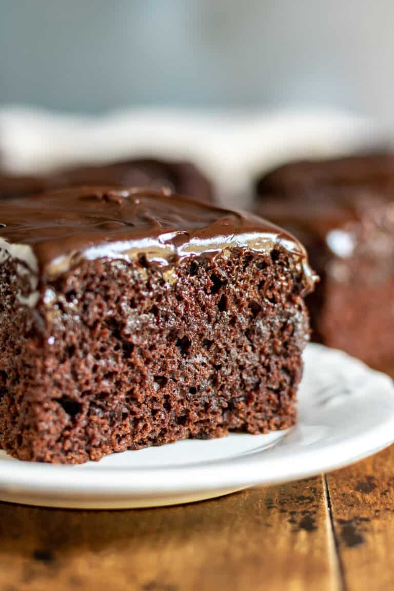 Chocolate Wacky Cake - Veggie Desserts