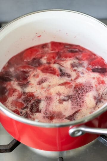 Plum Syrup - Veggie Desserts