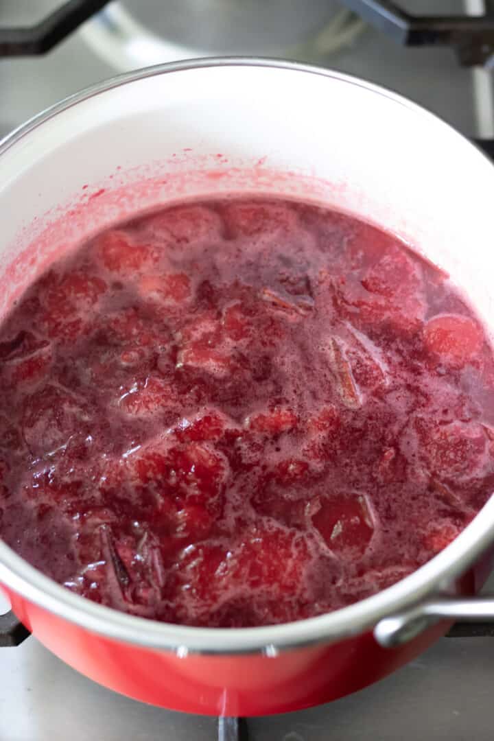 Plum Syrup - Veggie Desserts