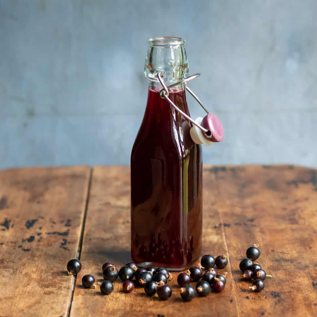 Blackcurrant Syrup - Veggie Desserts