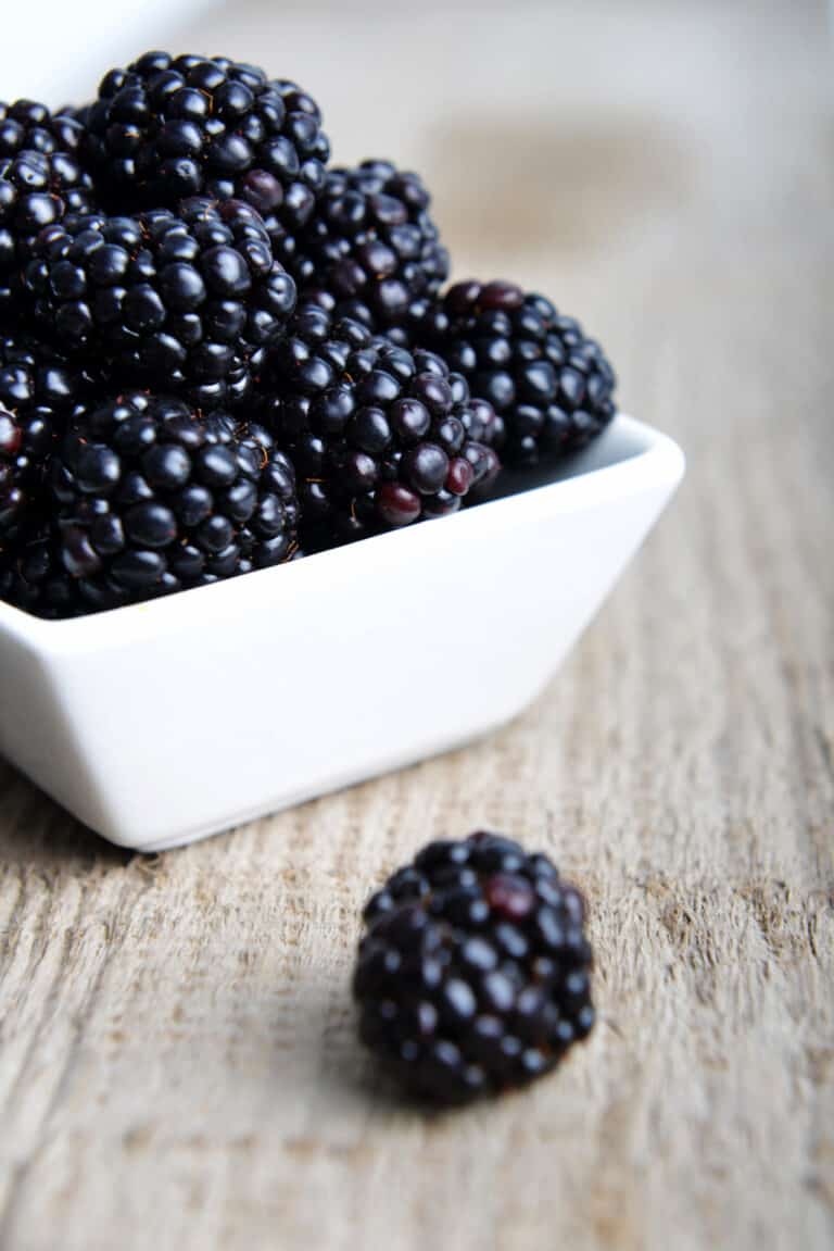 Blackberry Recipes - Veggie Desserts