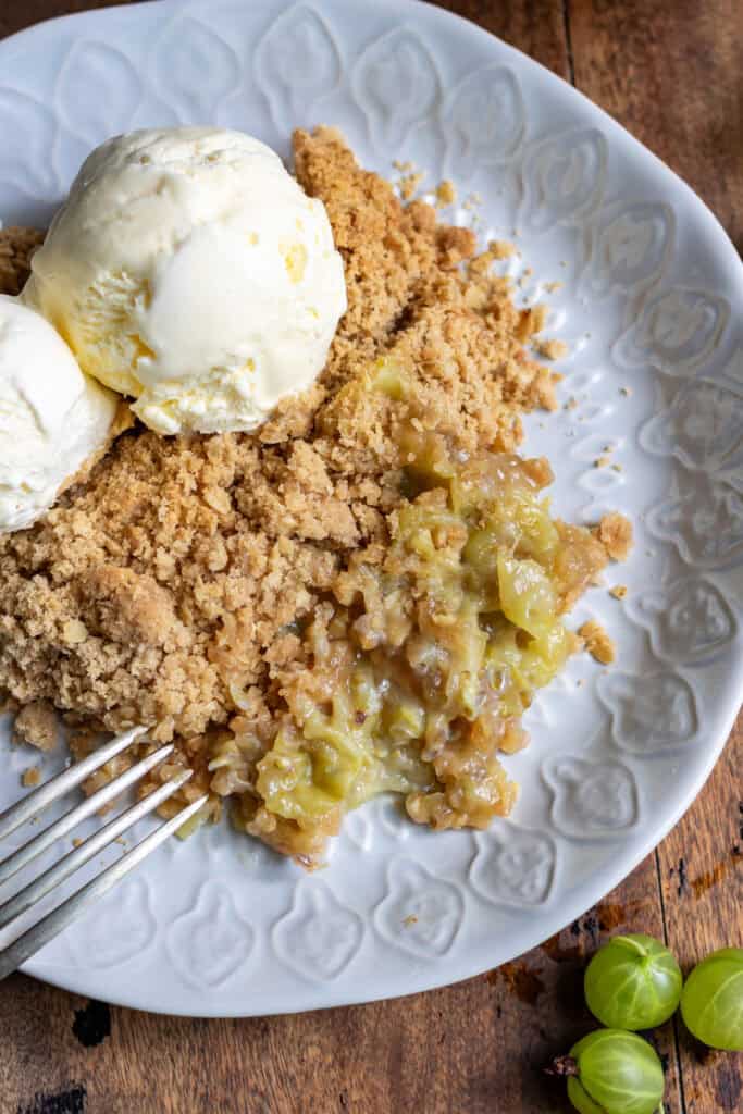 Gooseberry Crumble - Veggie Desserts