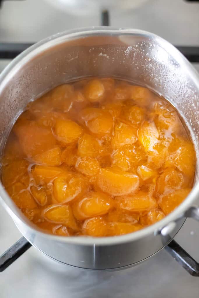 Apricot Syrup - Veggie Desserts
